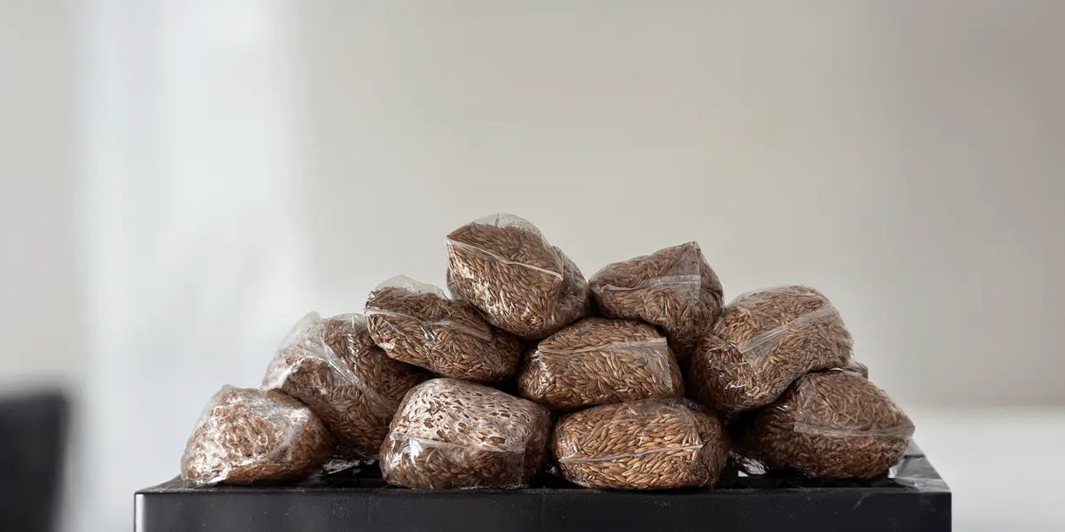 Spawn Bag Tek / The Ultimate Guide To Fruiting Magic Mushrooms In Bags ...