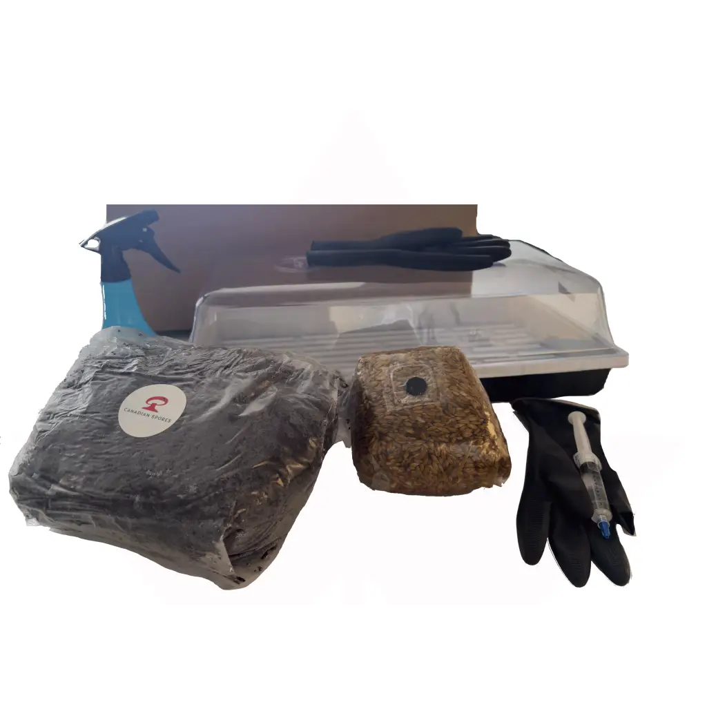 Magic Mushroom Grow Kit Starter Pack - Canadian Spores